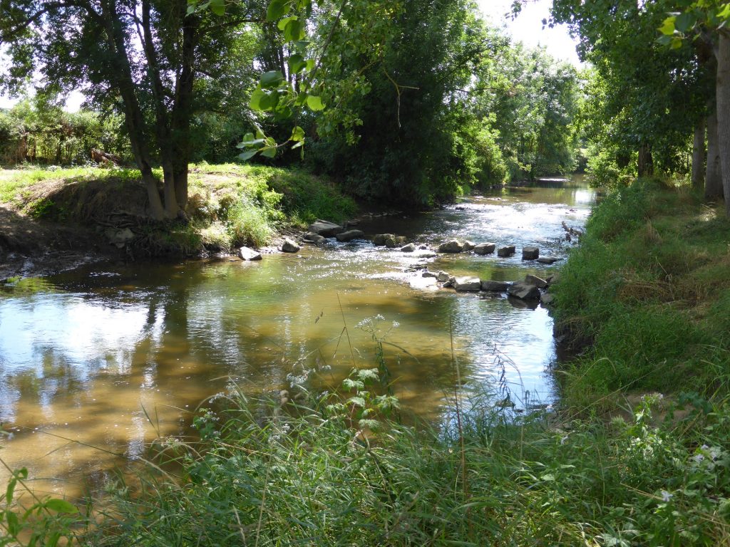 Les bords de Guye | SAINT-HIPPOLYTE (Saône et Loire 71 Bonnay)